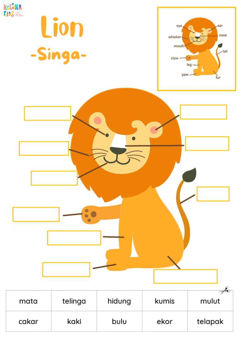 [ Printable Activity ] Animal Body Parts Worksheet - Kelanakids.com