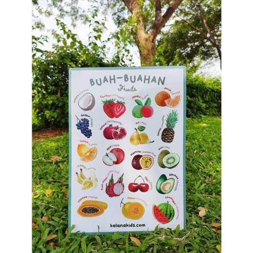 Poster Edukasi Anak Tema Buah Fruits Wipe Clean Ukuran A3