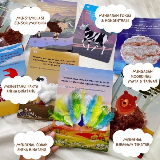Texture Sensory Play Activity Set Mainan Edukasi Sensorik Anak Menempel ...