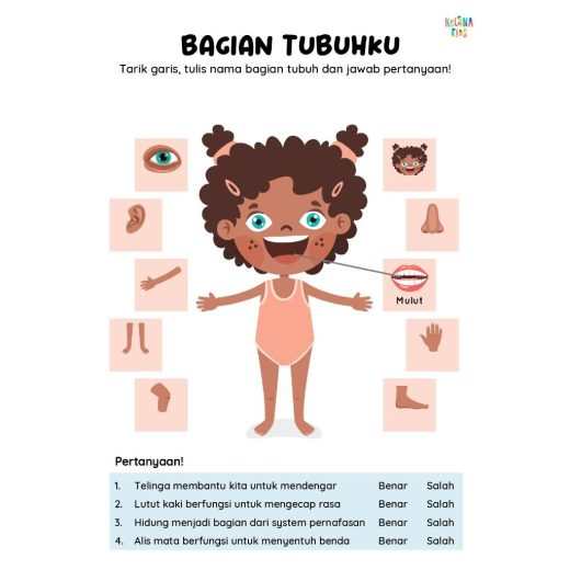 Worksheet Anak Bagian Tubuh Manusia: Printable Lembar Kerja Belajar ...
